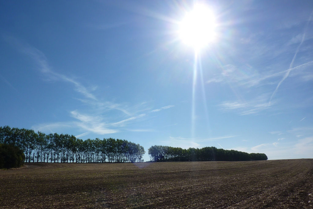 Sun Protection | OSHA Safety Manuals